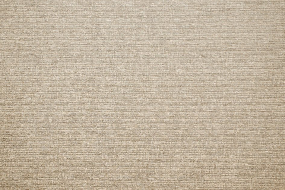 Allspice Dove | Taylor King