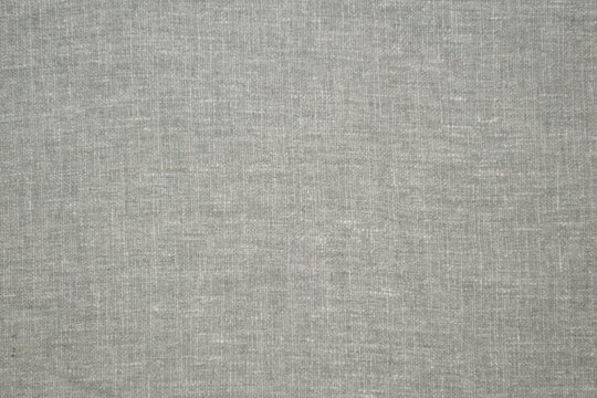 What's New | Taylor King