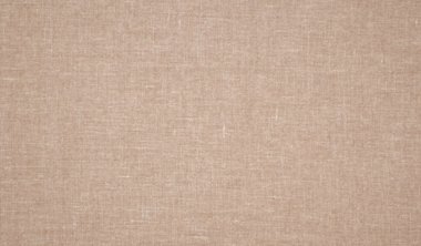 Aric Teaberry | Taylor King