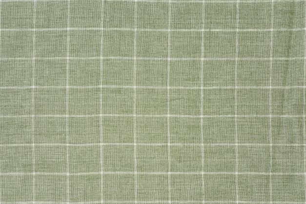 BENNET CACTUS | Taylor King