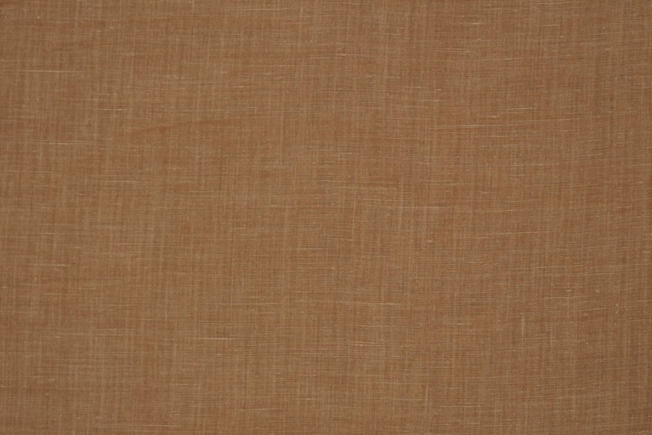 BERTRAM APRICOT | Taylor King