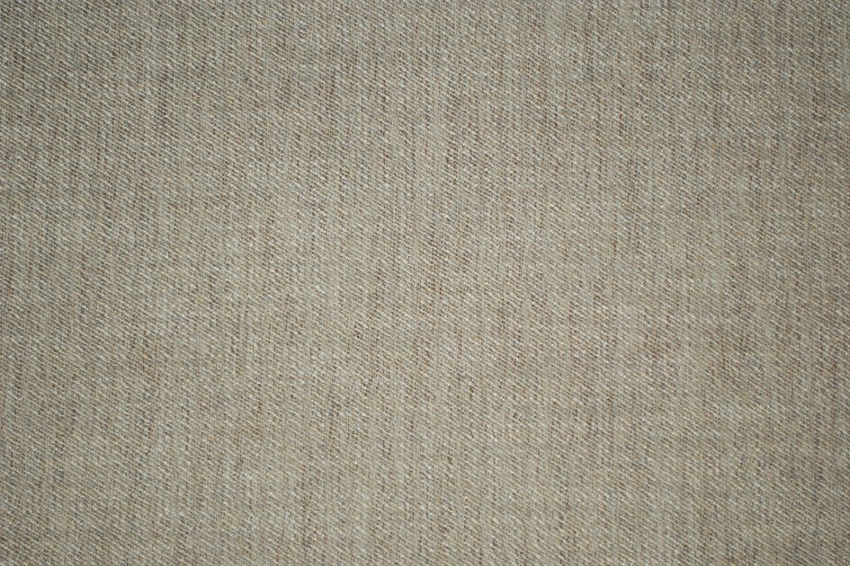 CHAPMAN DOVE | Taylor King