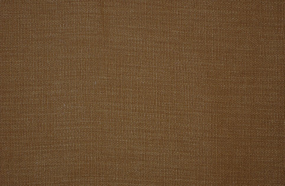 DRAKE GINGER | Taylor King