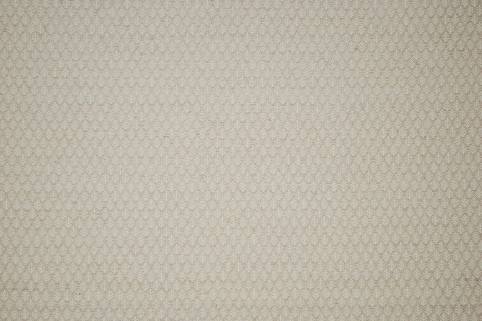 FERN FAIR STEAM | Taylor King