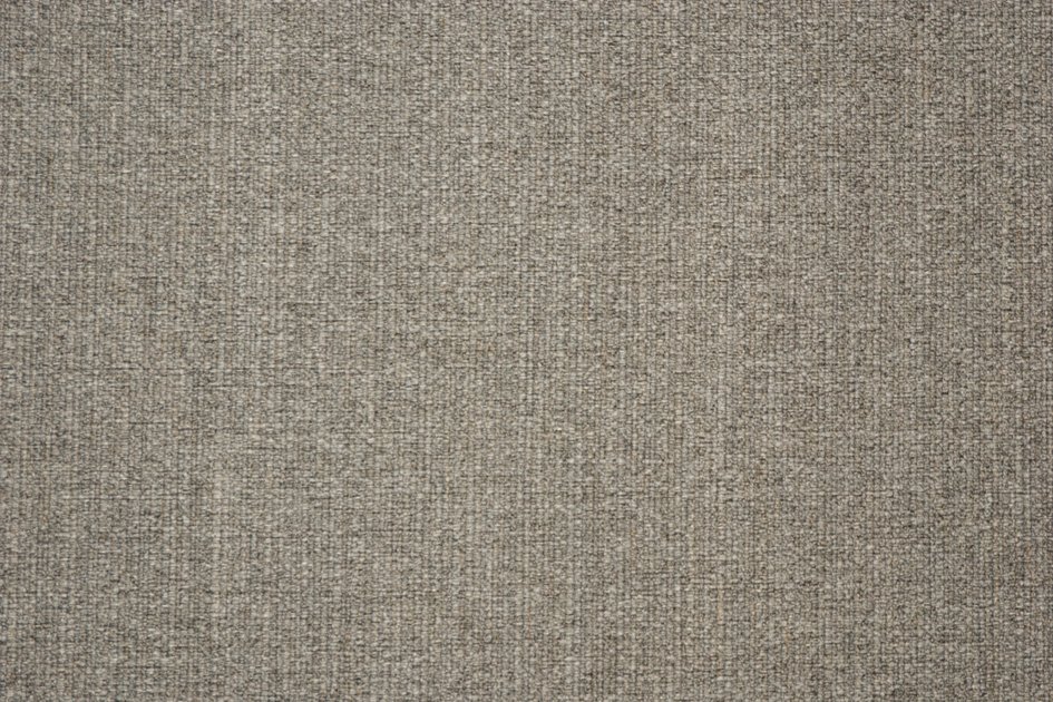 Foxford Dove | Taylor King