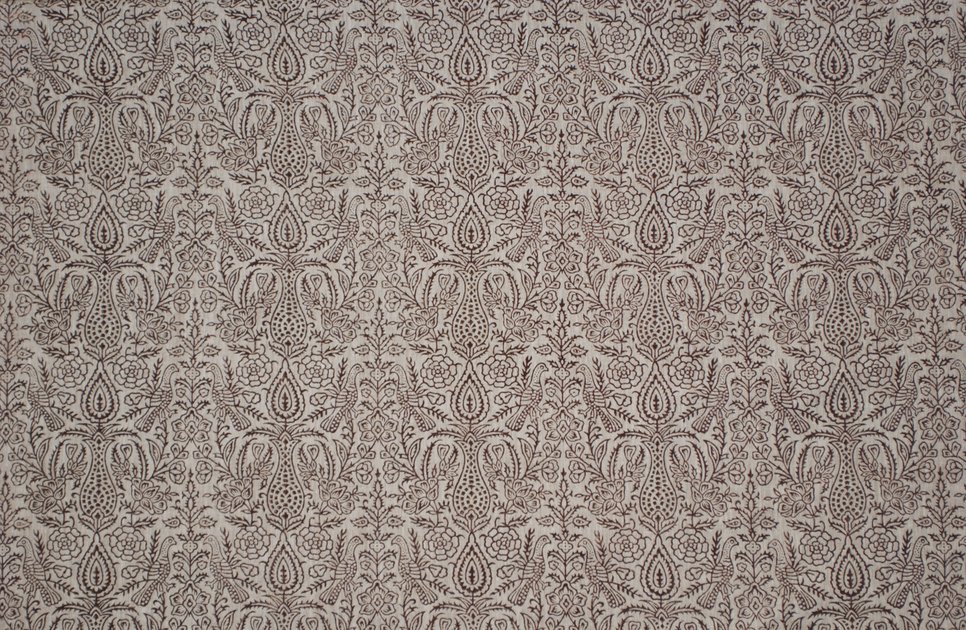 HARTLEY JAVA | Taylor King