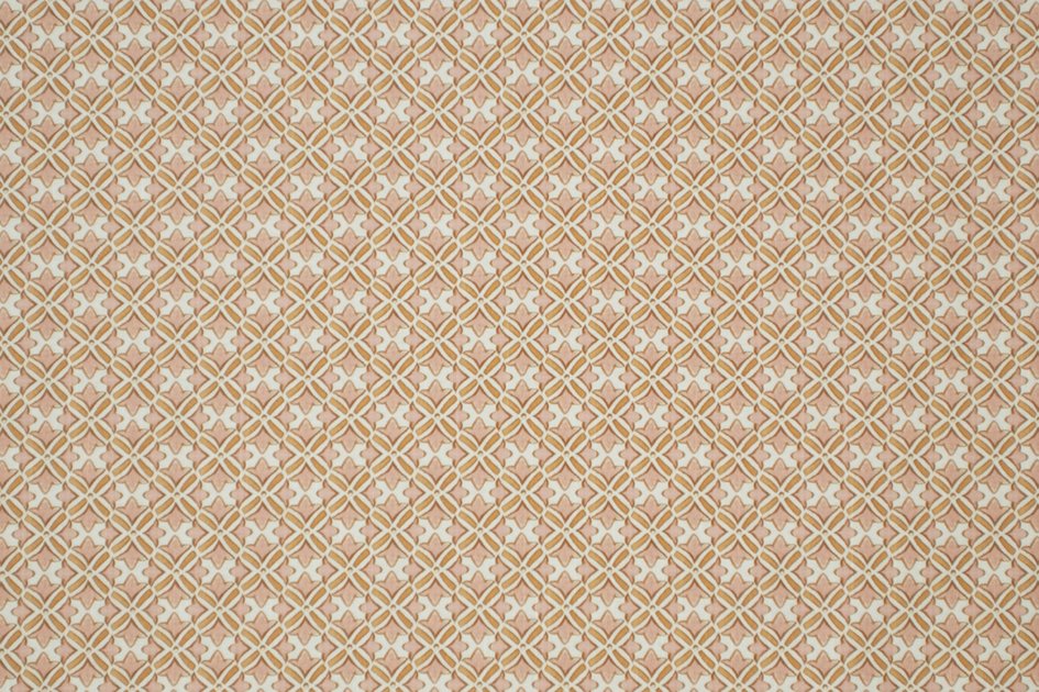 MARDEN SHELL | Taylor King