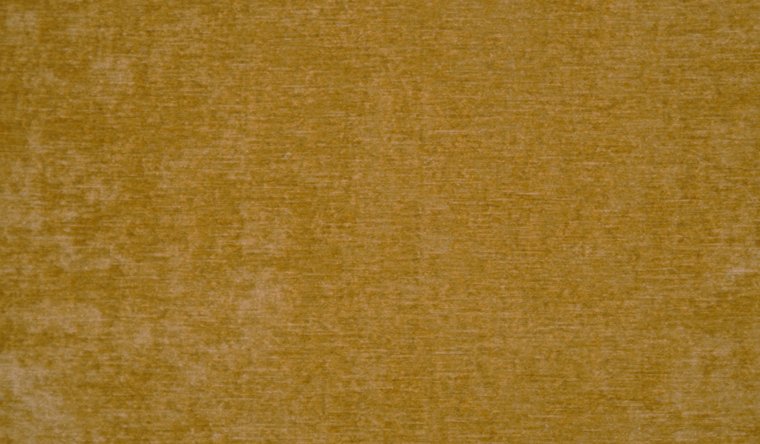 MATRIX GOLD | Taylor King