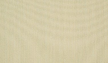 Posh Dove | Taylor King