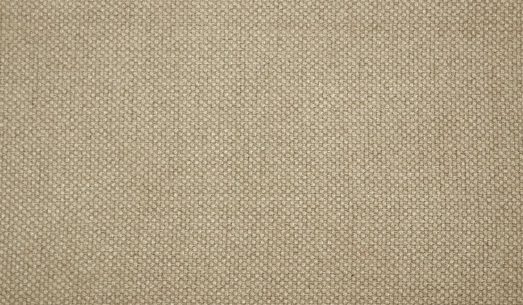 Rylan Dove | Taylor King