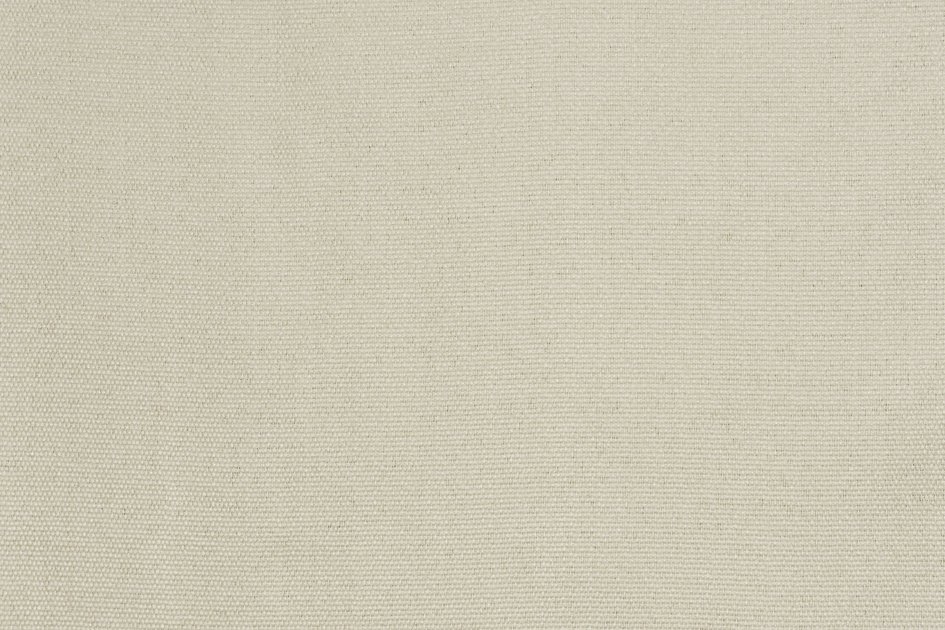 SEEGARS DOVE | Taylor King