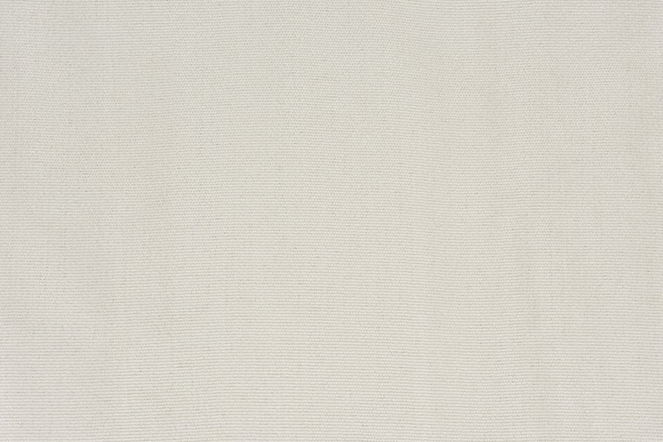 SEEGARS SNOW | Taylor King