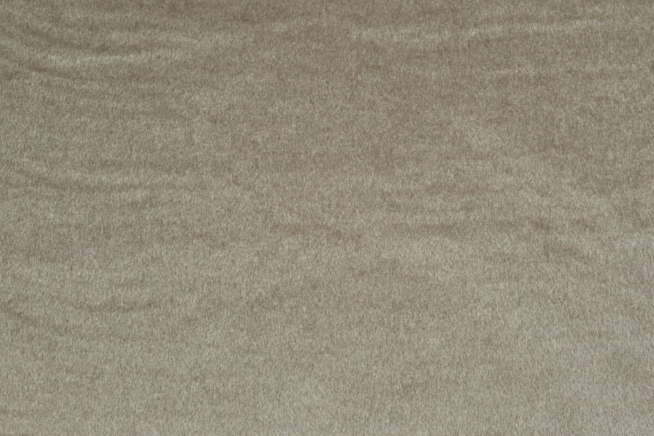 TORIN ADAGIO | Taylor King