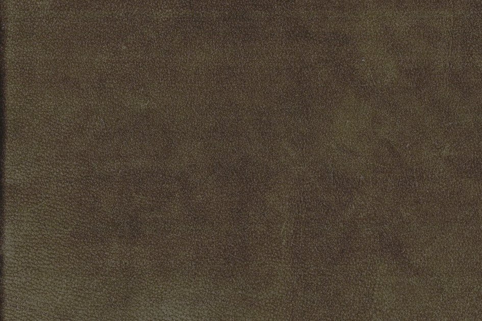 VIENNA OLIVE | Taylor King